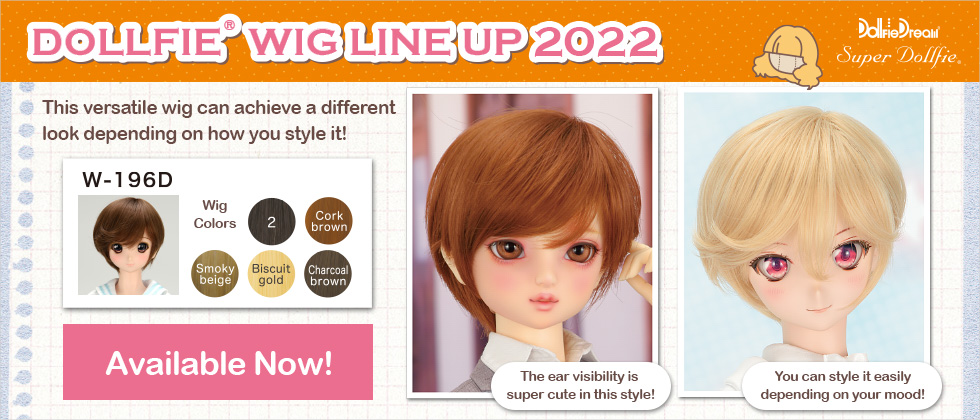 VOLKS USA, INC.