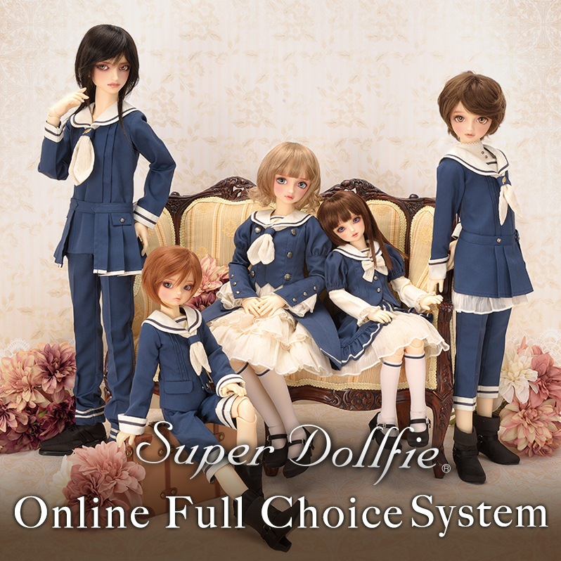 Online FCS FAQ | VOLKS USA, INC.